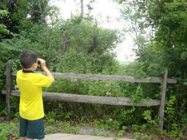 Observation skills and recording the detail notebook. - Skill Security HQ